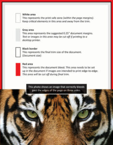 How to Set Proper Bleeds on Your Print Projects - LKCS